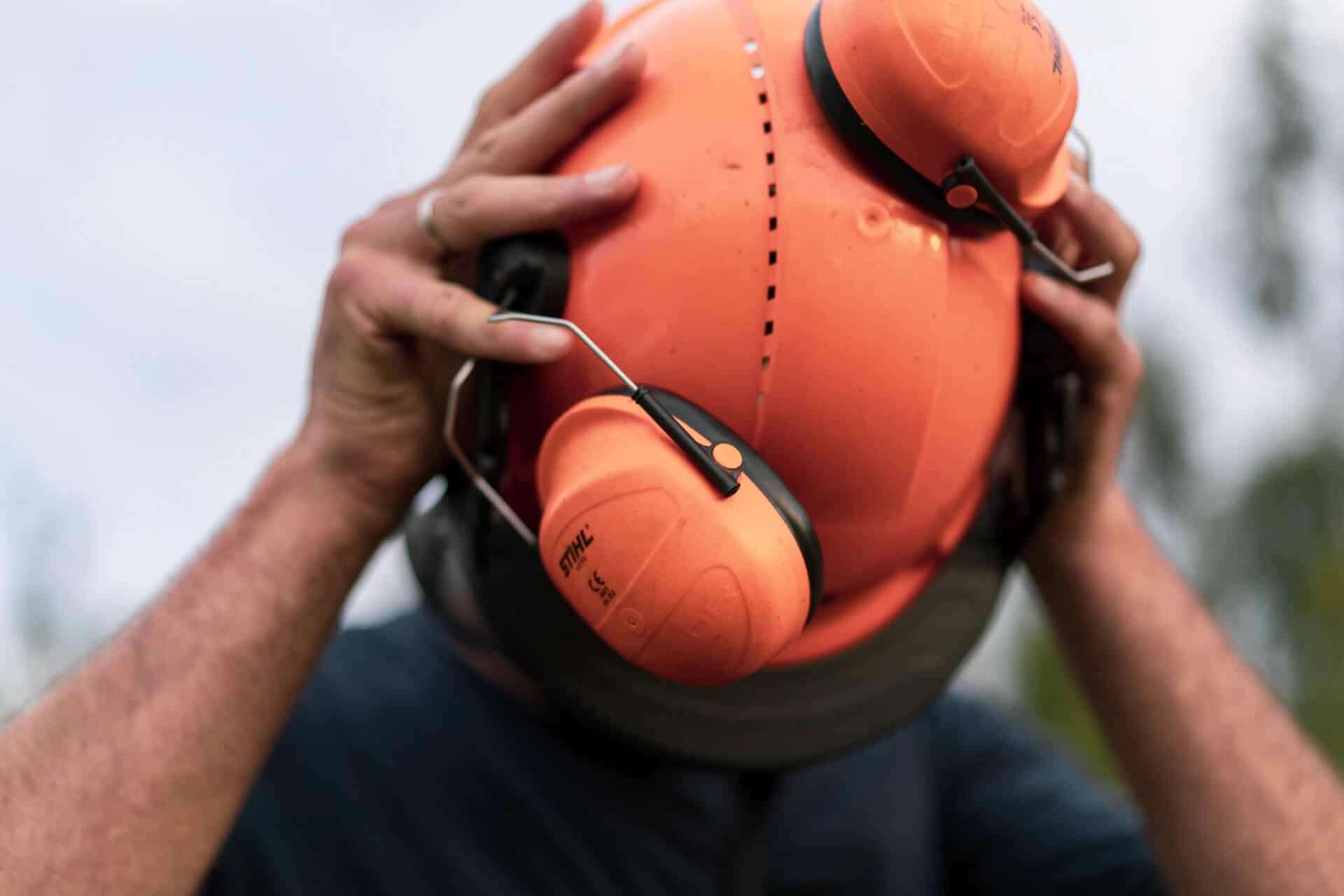 Funktionen des Waldes: Das alles leisten Bäume für uns ...